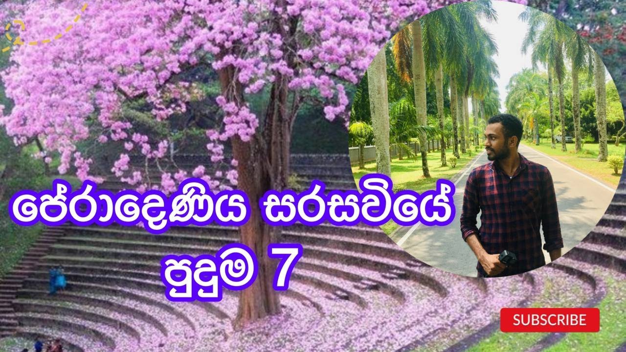 පේරාදෙණිය සරසවියේ පුදුම 7 🤍|| 7 Wonders of Peradeniya University 🤍 ...