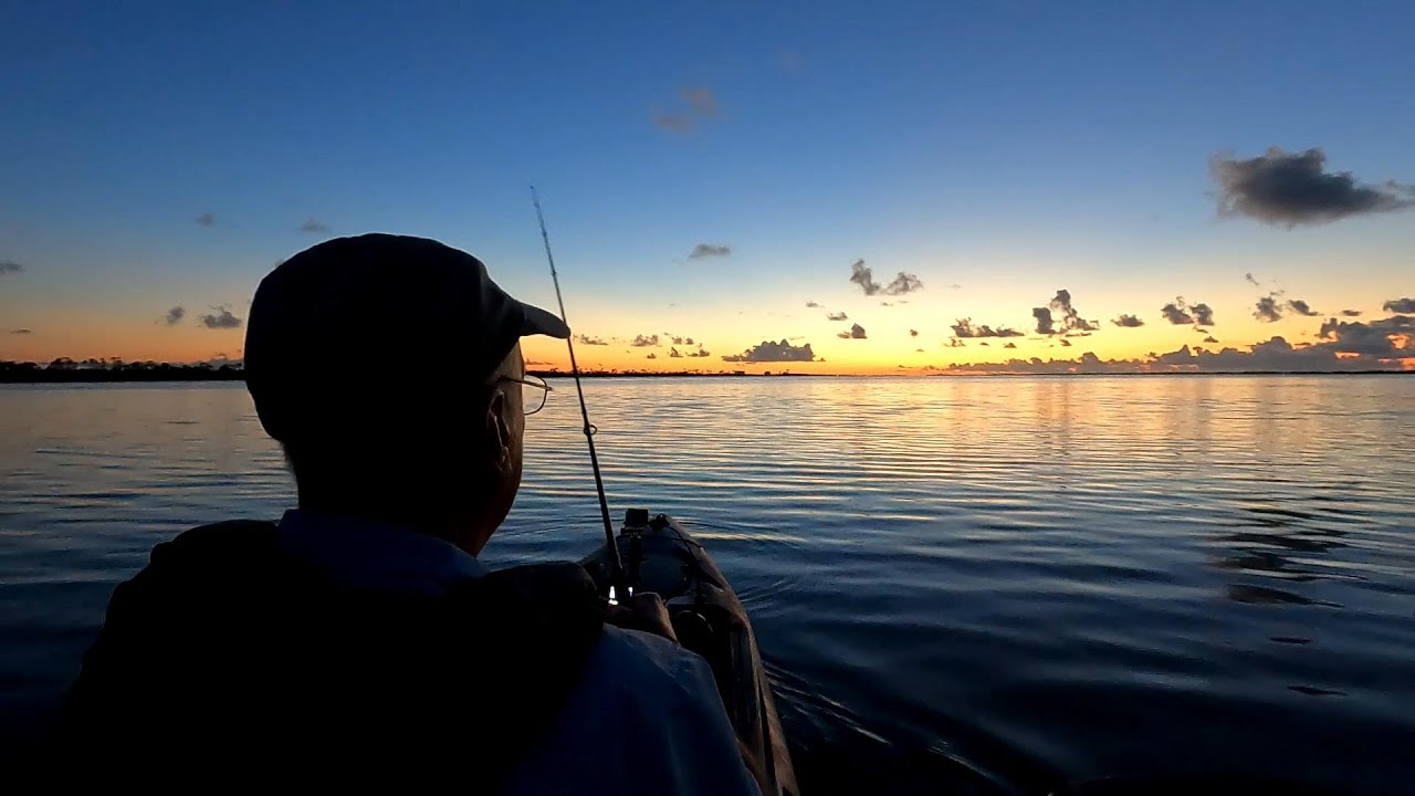 Shark vs Kayak, who wins? - YouTube