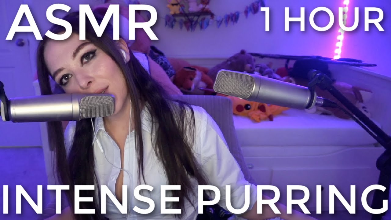 Asmr Intense Purring To Help You Fall Asleep π€ 1 Hour Youtube