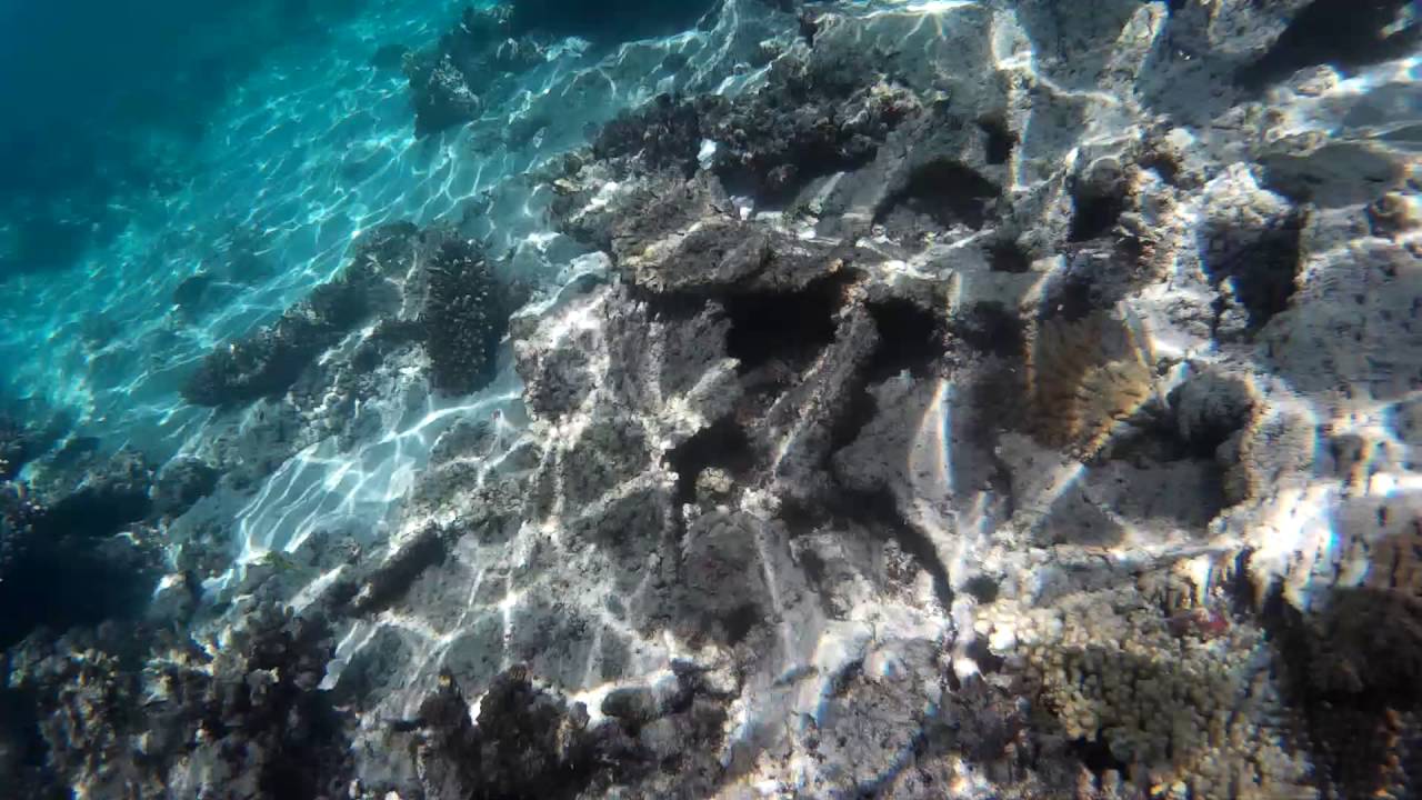 Exmouth Oyster Stacks 2 - YouTube