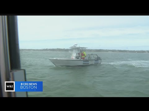 Winds pick up as Cape Cod makes final preparations ahead of Hurricane Lee