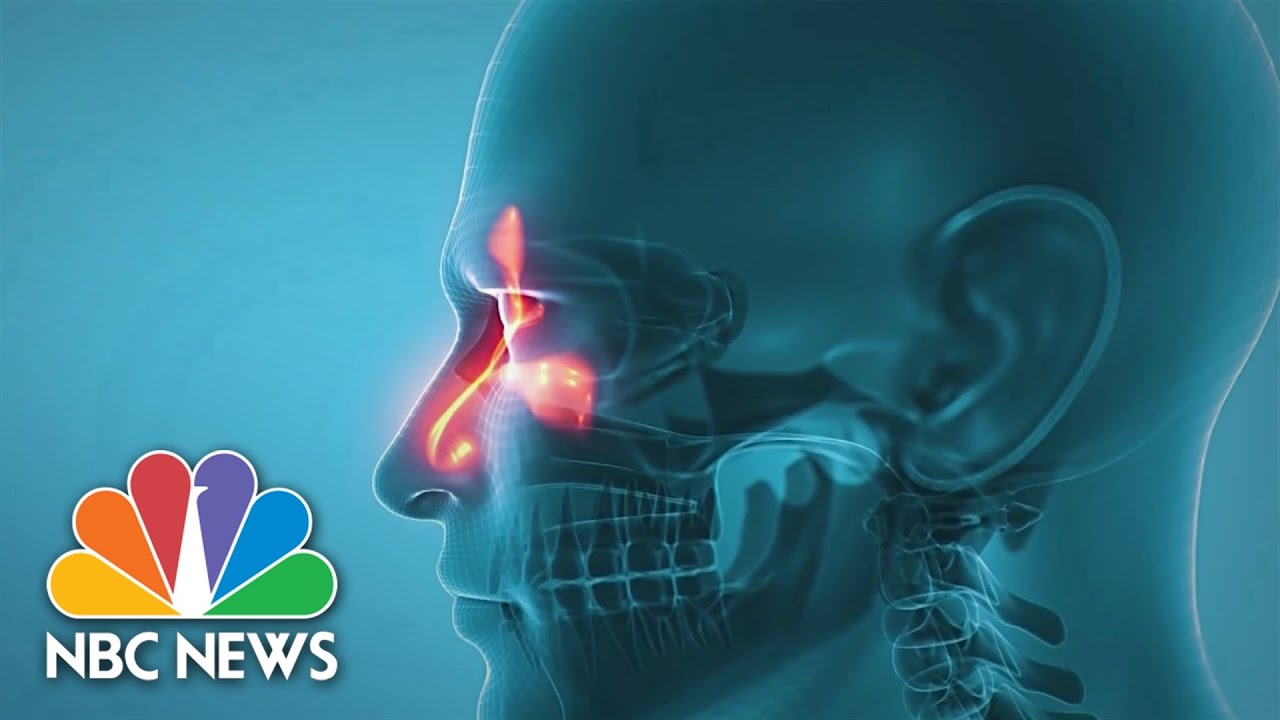 Virginia researchers work on solution for loss of smell from Covid ...