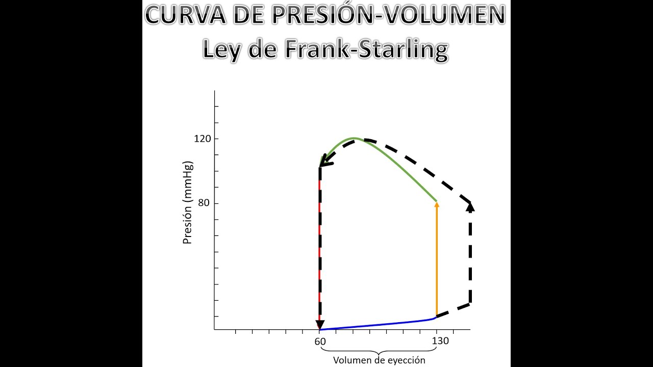 Ley de Frank-Starling - YouTube