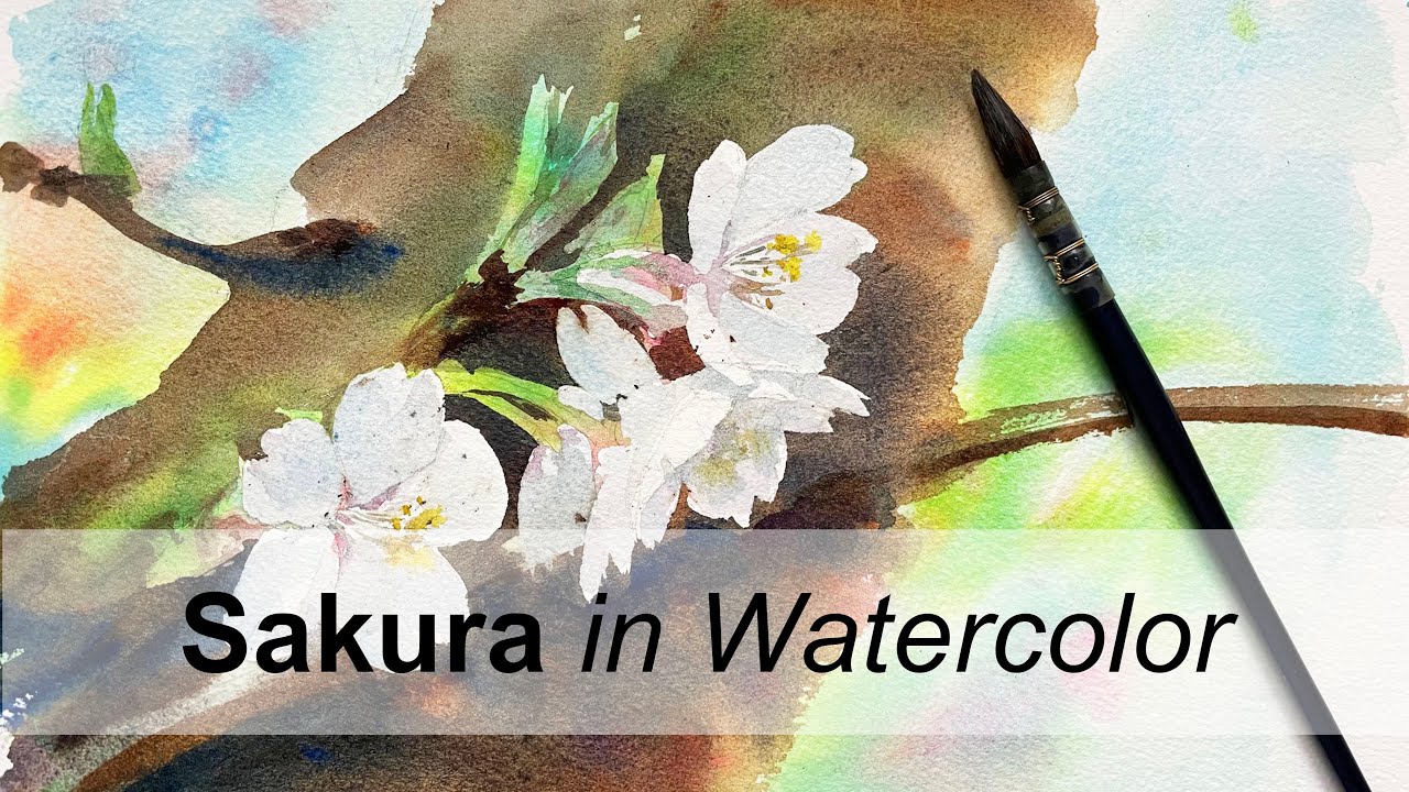 [Watercolor] How to paint Sakura in Watercolor/Cherry blossom - YouTube