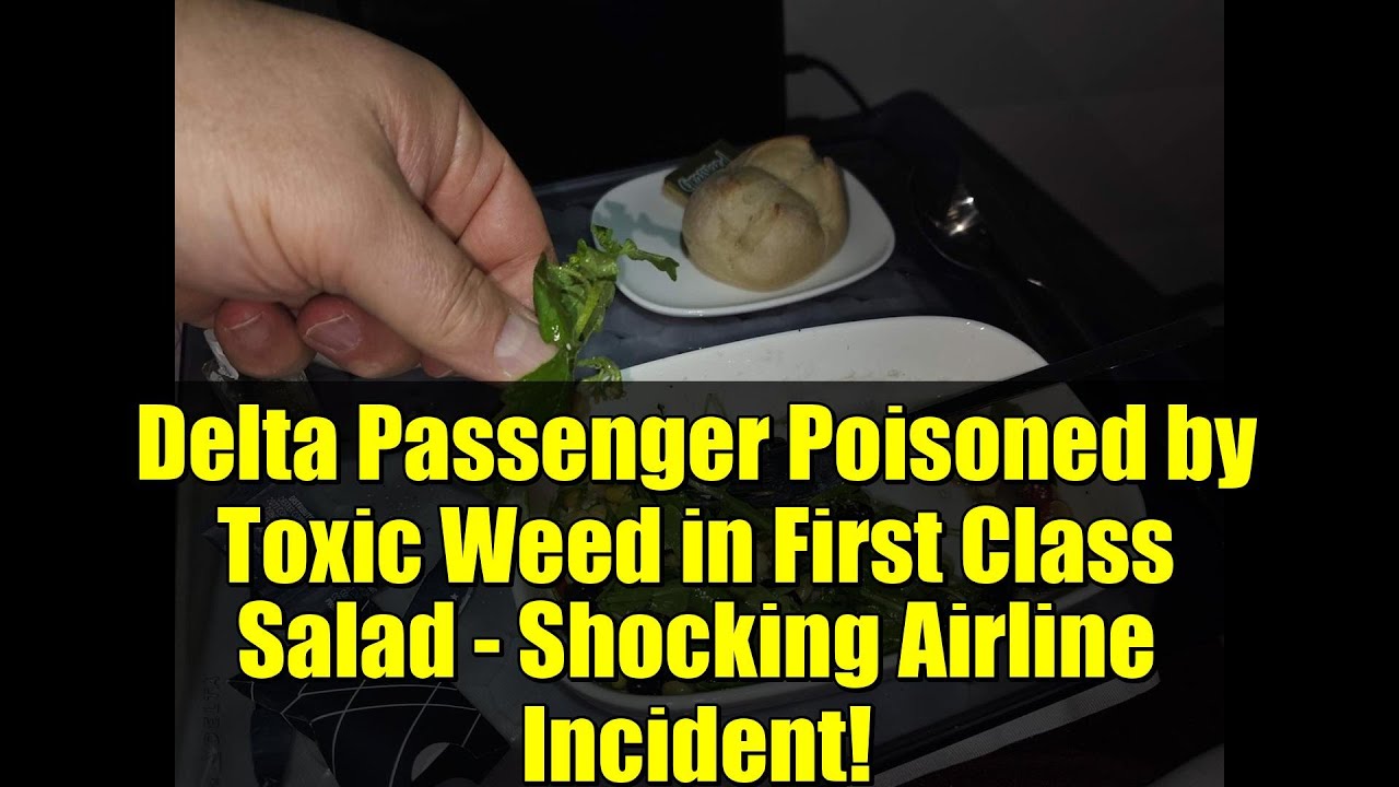 Delta Passenger Poisoned by Toxic Weed in First Class Salad - Shocking ...