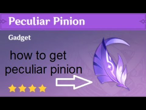 how to get Peculiar Pinion{Genshin Impact} - YouTube