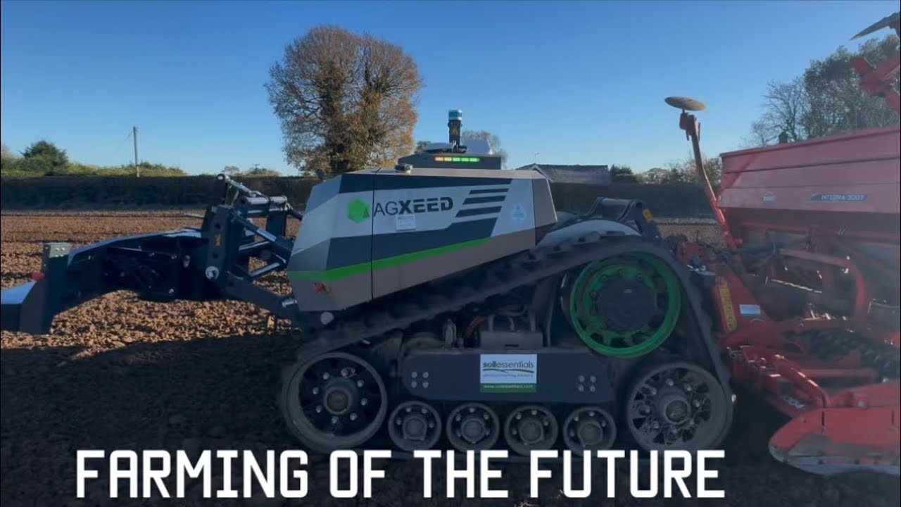 Farming in the future .pigs are loving the snow - YouTube