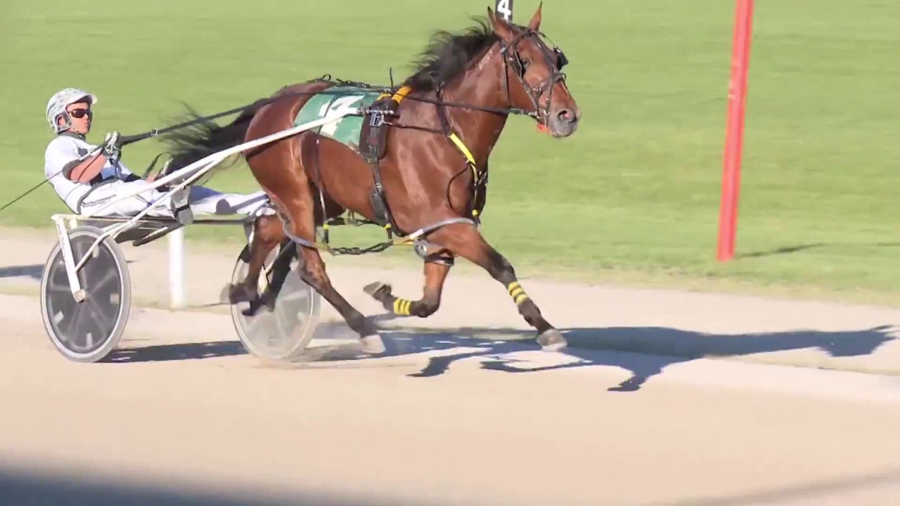 The Sounds of Horse Racing | AMI This Week - YouTube