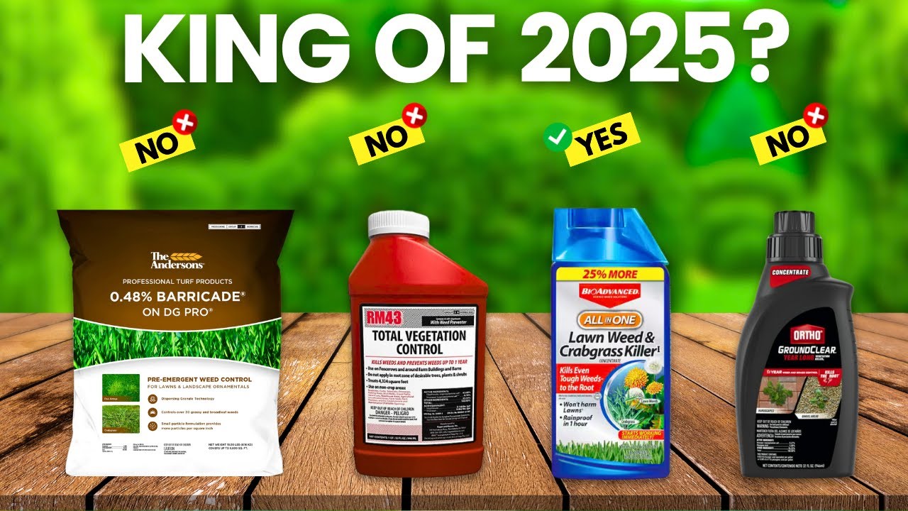 6 Best Weed Preventer For Lawn 2025 - YouTube