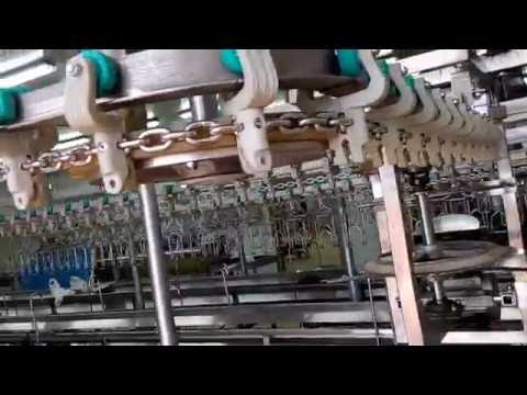 Thailand customer 4000 bph chicken slaughtering machine from Shandong Osaint Group