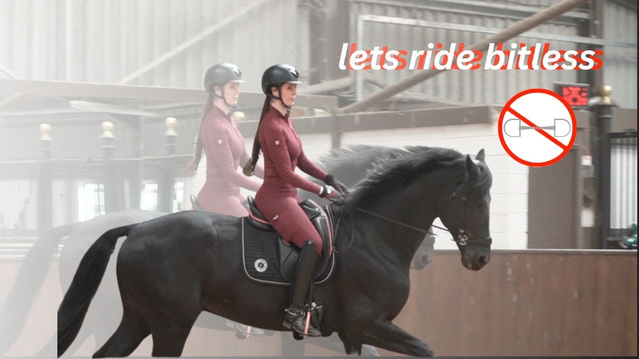 bitless riding vlog with gee! - YouTube