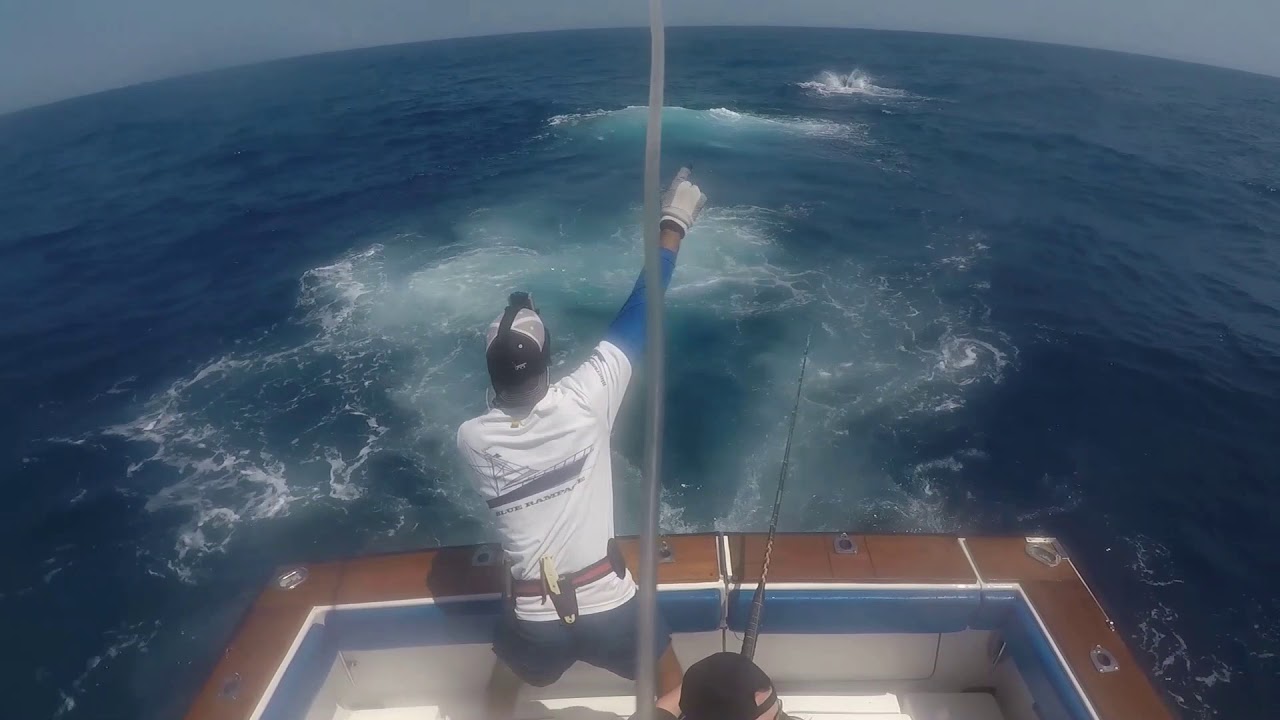 Marlins Algarve Portugal, Blue Rampage Charter Boat - YouTube