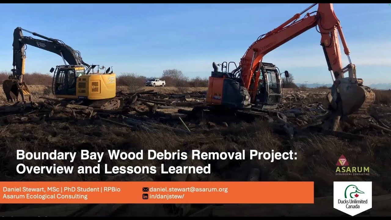 Daniel Stewart: Boundary Bay Wood Removal Project - YouTube