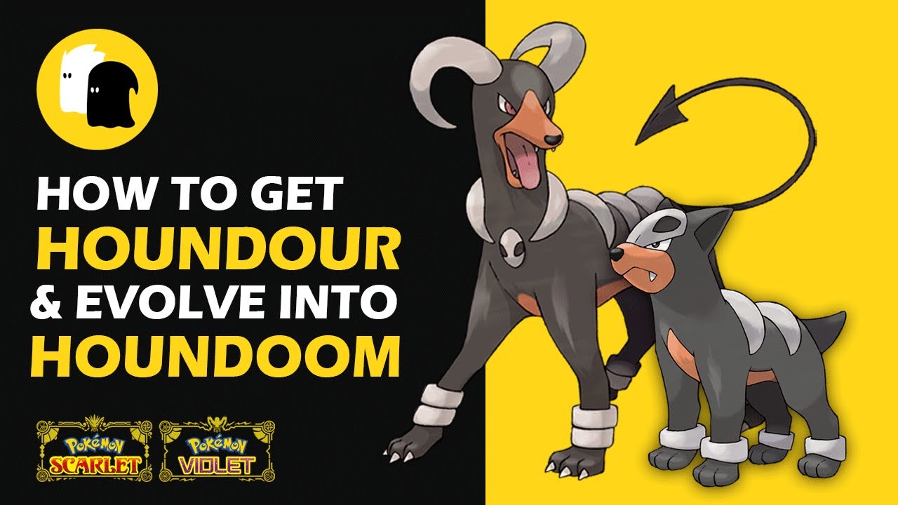 Houndour And Houndoom
