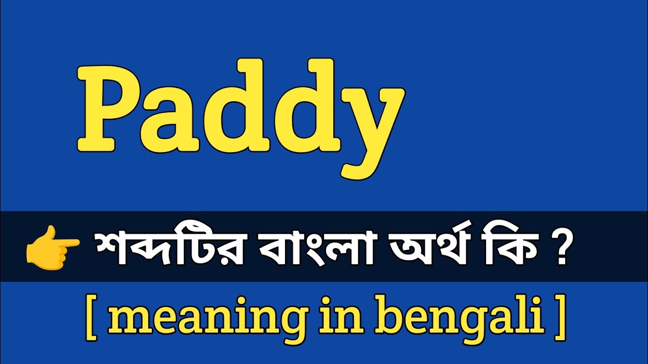 Paddy Meaning in Bengali With Example || Paddy শব্দটির বাংলা অর্থ কি ...