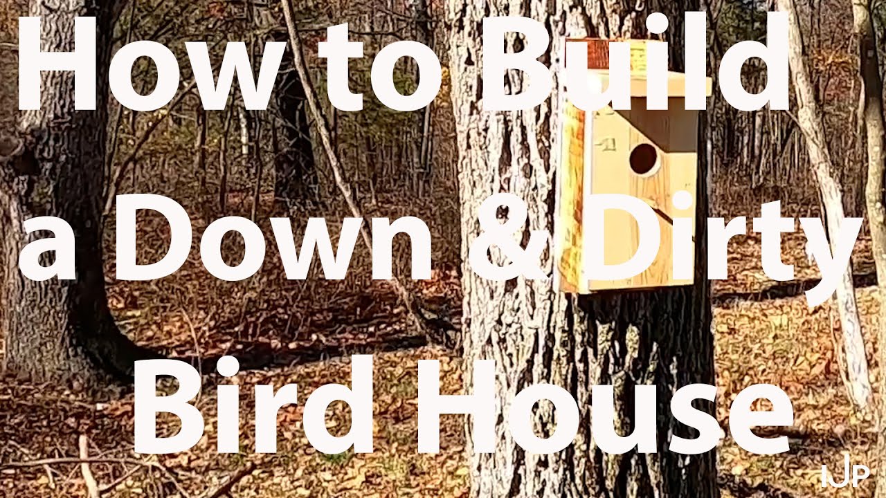 How to Build a Down & Dirty Bird House - YouTube