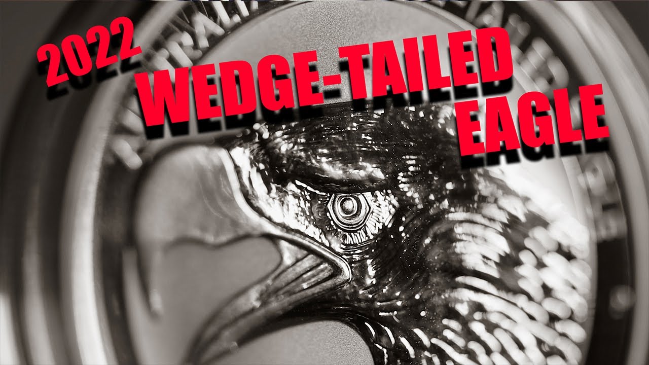 The MIGHTY WEDGE-TAILED EAGLE Coin!! - YouTube