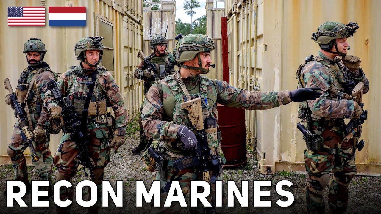 U.S., Dutch RECON MARINES (2024) - Close-Quarter Combat, Urban Warfare ...