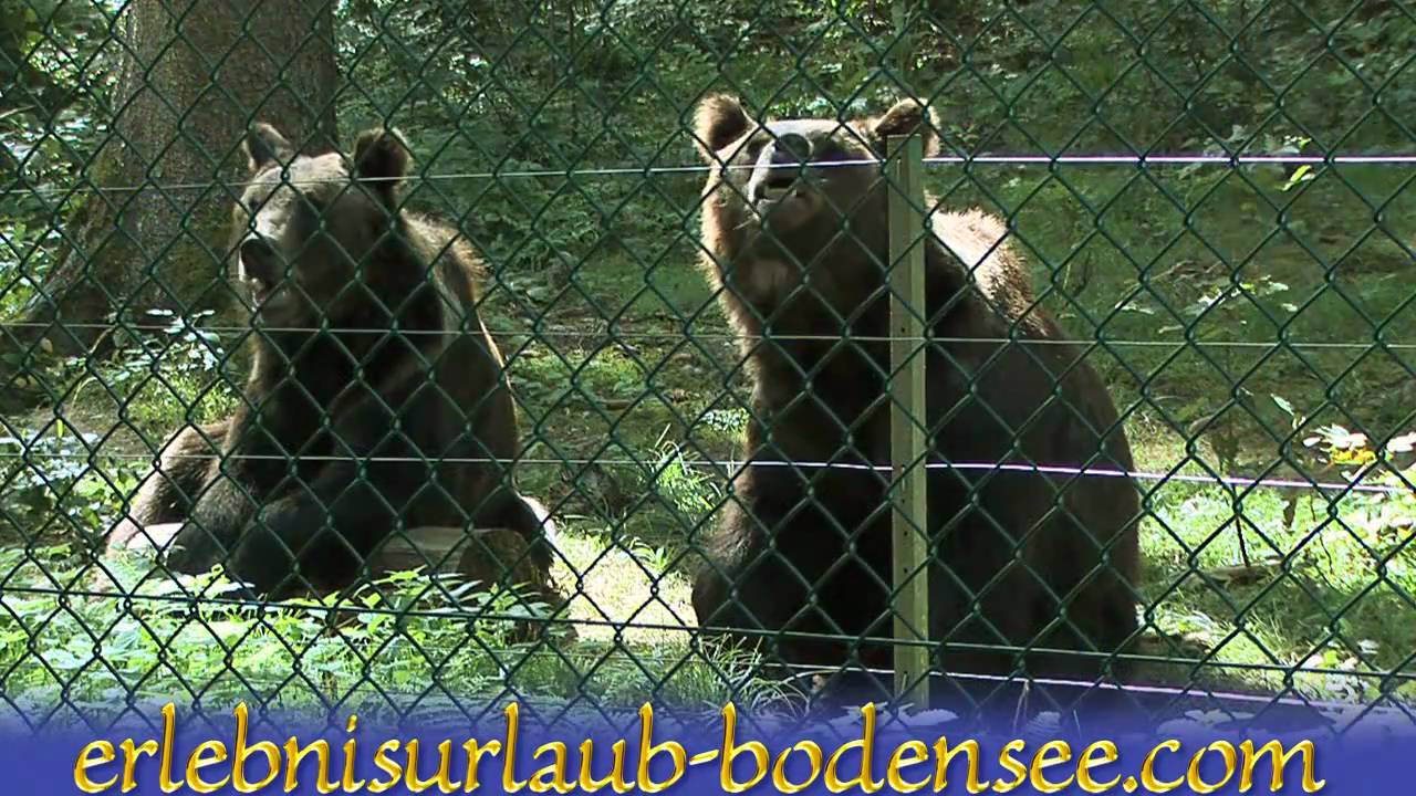 Wild- u. Freizeitpark Allensbach - YouTube