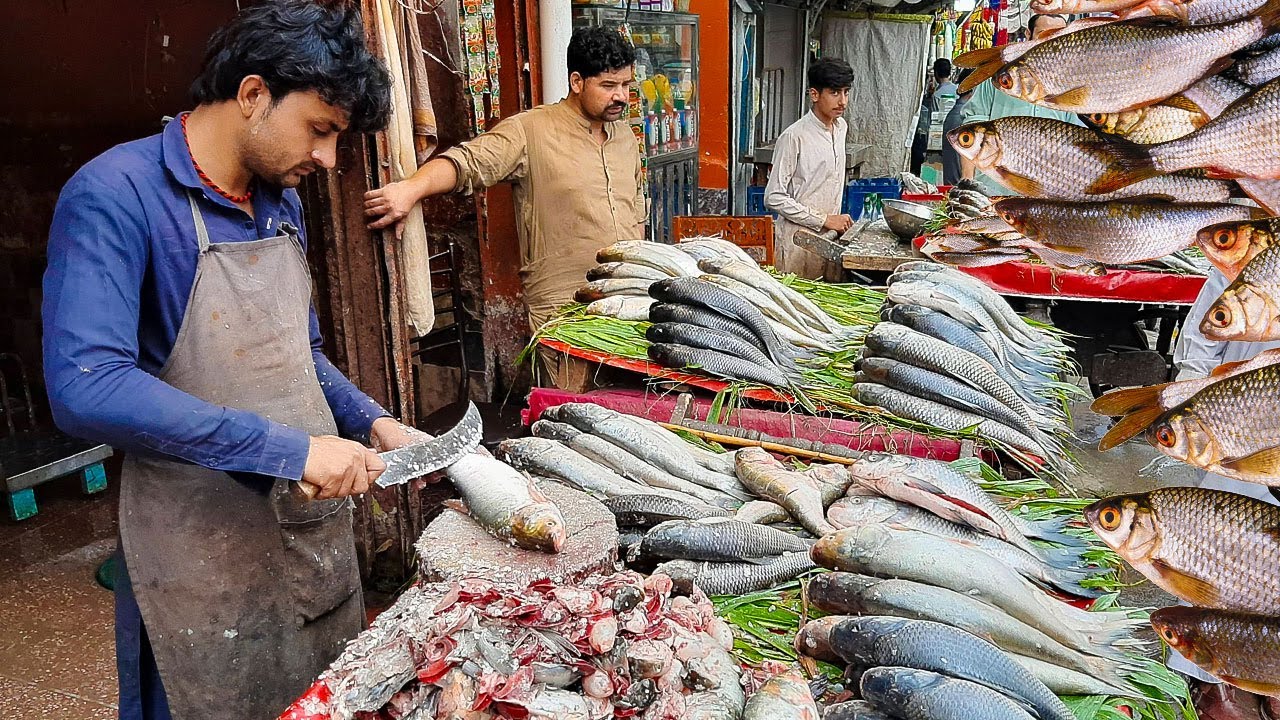 Amazing Fish Cutting and Cleaning | Big Fish Cleaning & Cutting By ...
