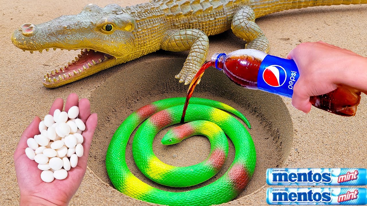 Coca Cola, Different Fanta, Mtn Dew, Pepsi,Sprite and Stretch Toy snake ...