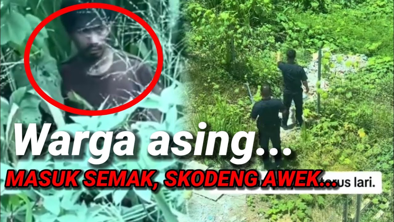 Alien Skodeng Awek Daripada Dalam Semak‼️ - YouTube