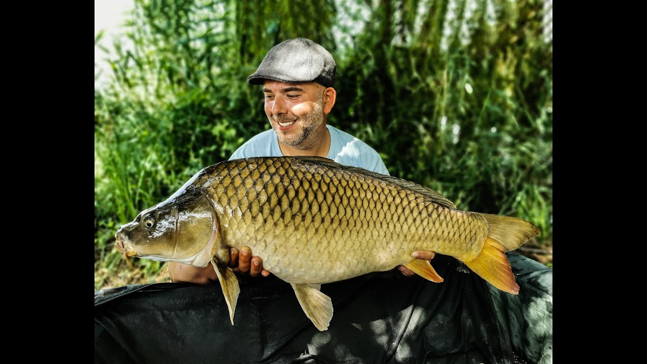 2horog 1szerre 1szájban 👀- Szép halak élnek a Don Carp....ban :D 🐟 ...