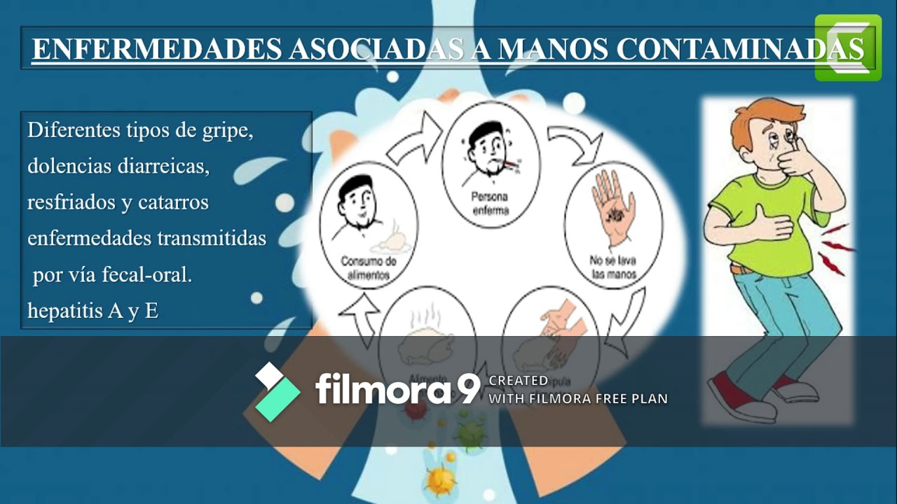 Microorganismos en las manos, Udabol - YouTube