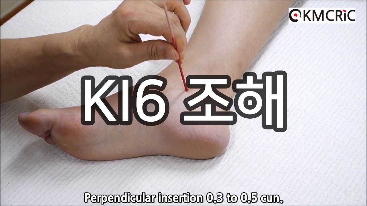 KI6 조해 照海 Zhanhai (Eng sub) - KMCRIC WHO Standard acupoint DB - YouTube