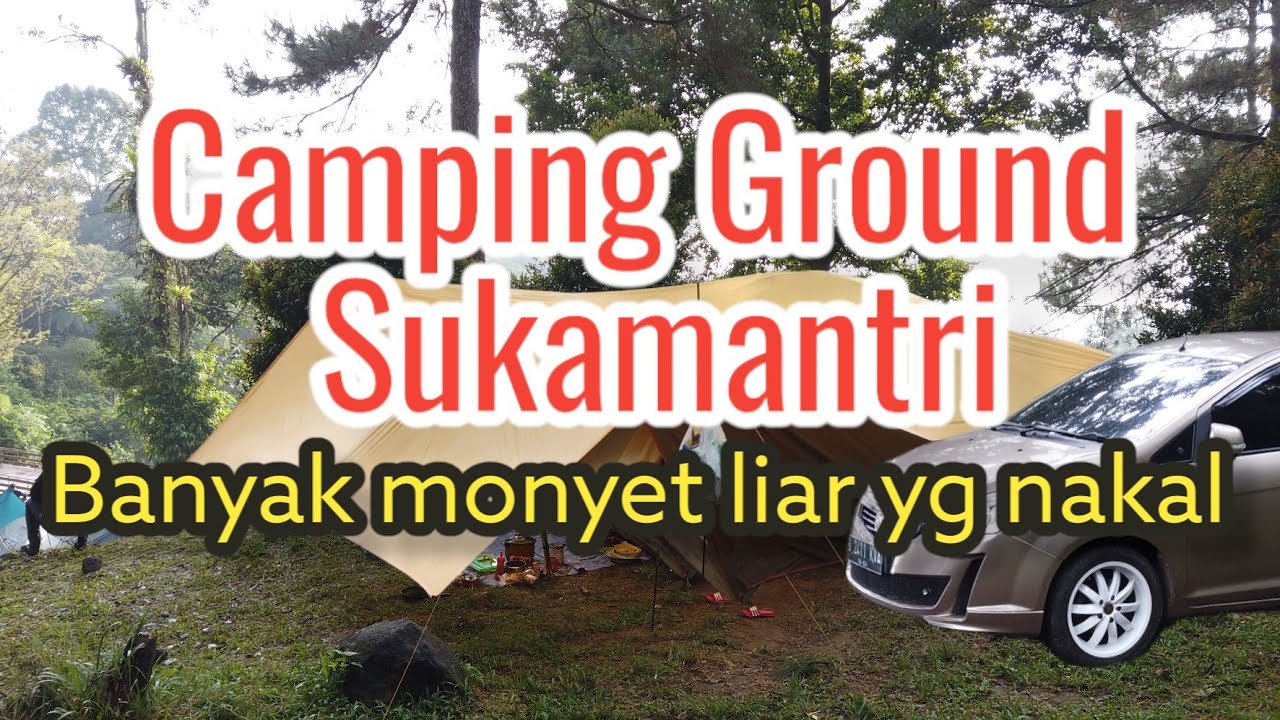 Camping Ground Sukamantri. banyak monyet liar yang menyerang tiap siang ...
