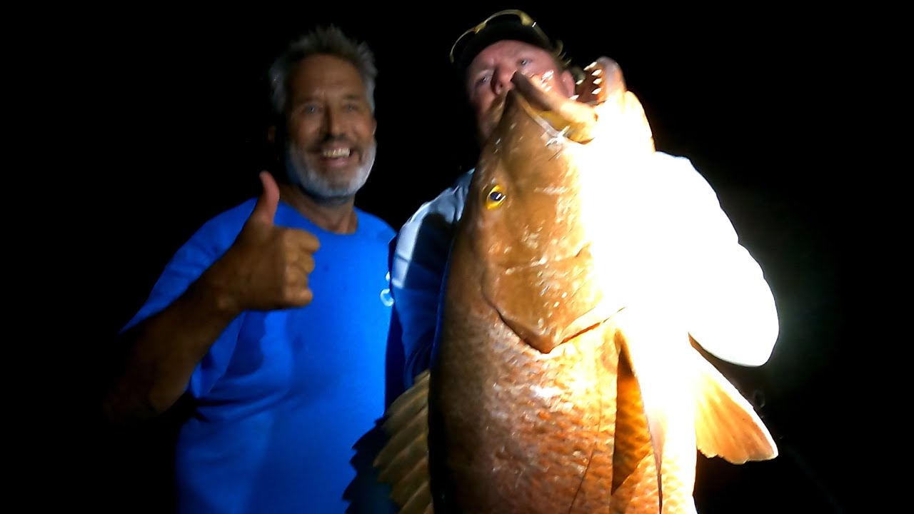 How & Where to Catch Giant Cubera Snapper Key Largo Fl. Carysfort Reef ...
