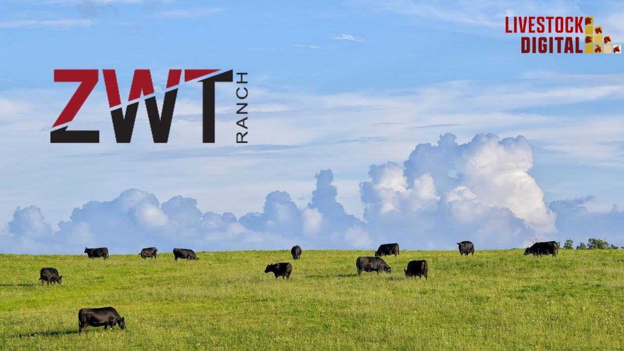 ZWT Ranch - YouTube