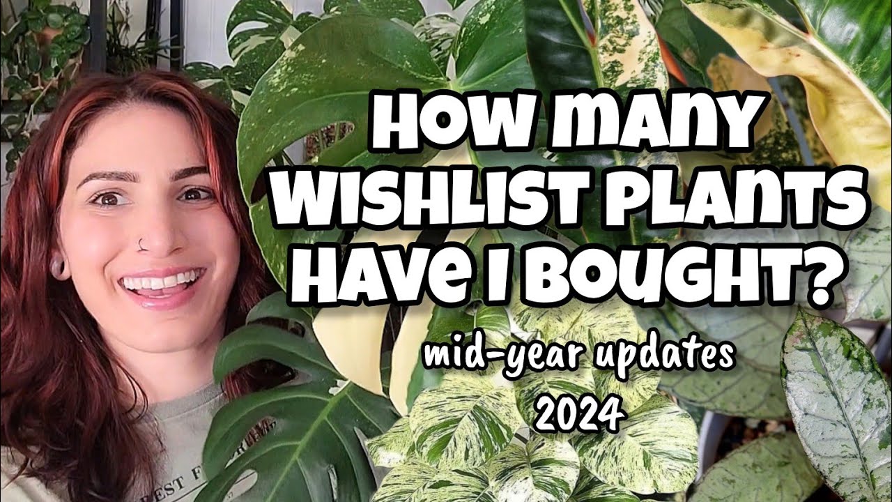 Wishlist Plant Updates!! 🌿 how many have I bought off my top 10 list ...