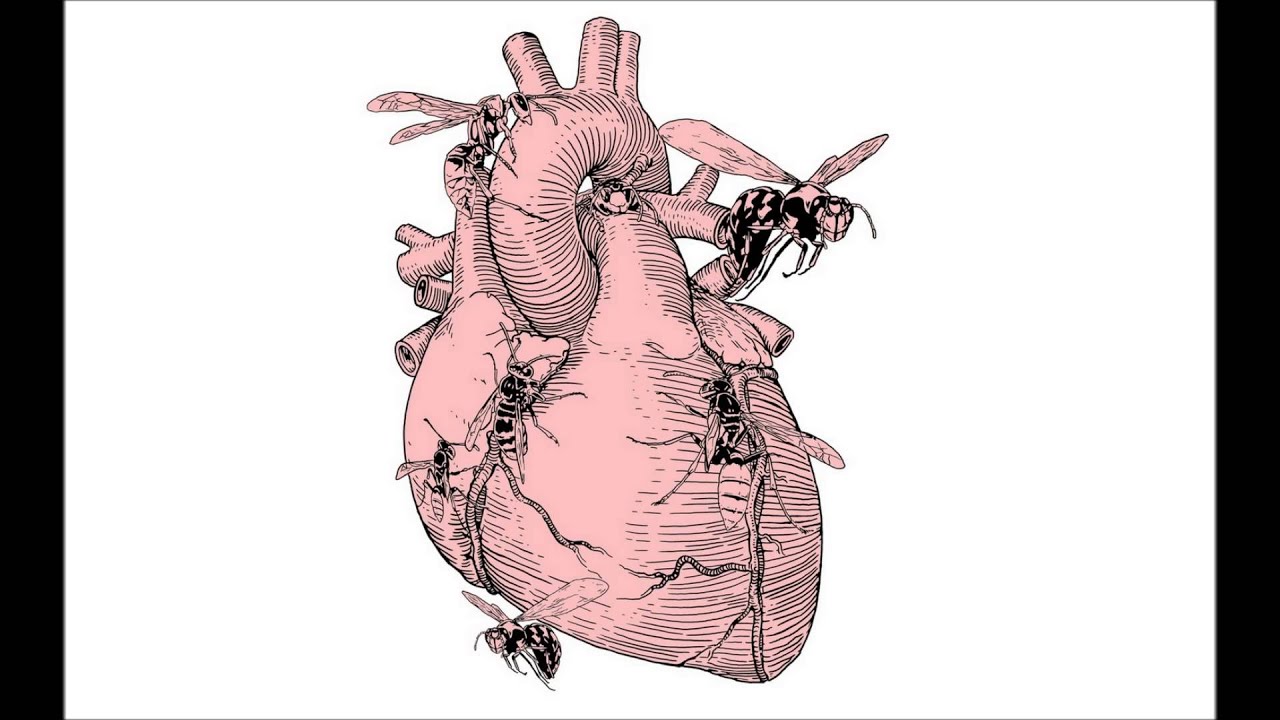 PELOTON - Unnatural affection for hornets (Full album) - YouTube