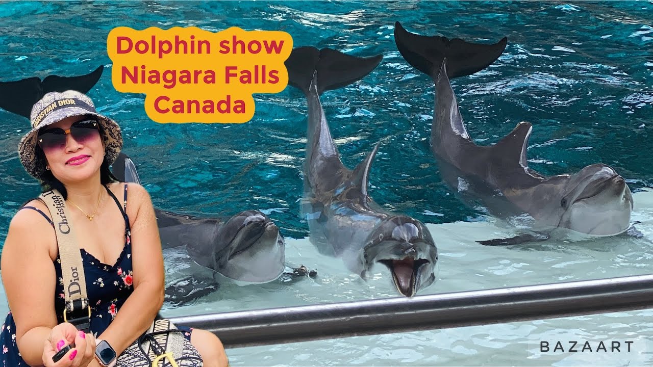 Dolphin Show Niagara Falls Canada - YouTube