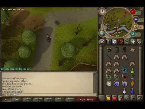 Runescape Treasure Trail Riddle Help 101: Navigating to this crate will ...