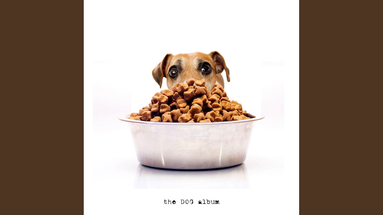 I'm a Dog (Good Bad Dog Anthem) - YouTube
