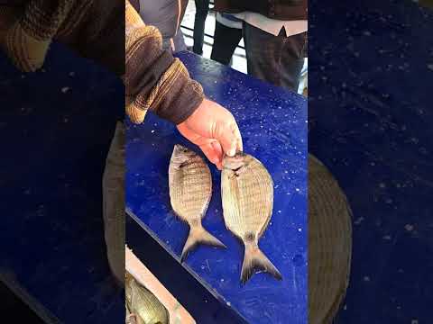 25 NİSAN CMTS. İZMİR KARŞIYAKA'DA MAVİŞEHİR BALIK MEZATI. CANLI YAYIN. #mavişehirbalıkmezatı #k.yaka