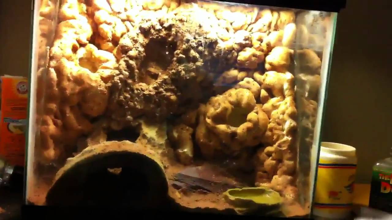 CUSTOM LEOPARD GECKO BACKGROUND/CAGE! - YouTube