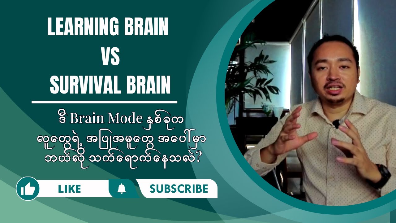 Learning Brain နှင့် Survival Brain - YouTube