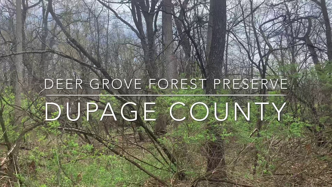Deer Grove Forest Preserve - YouTube