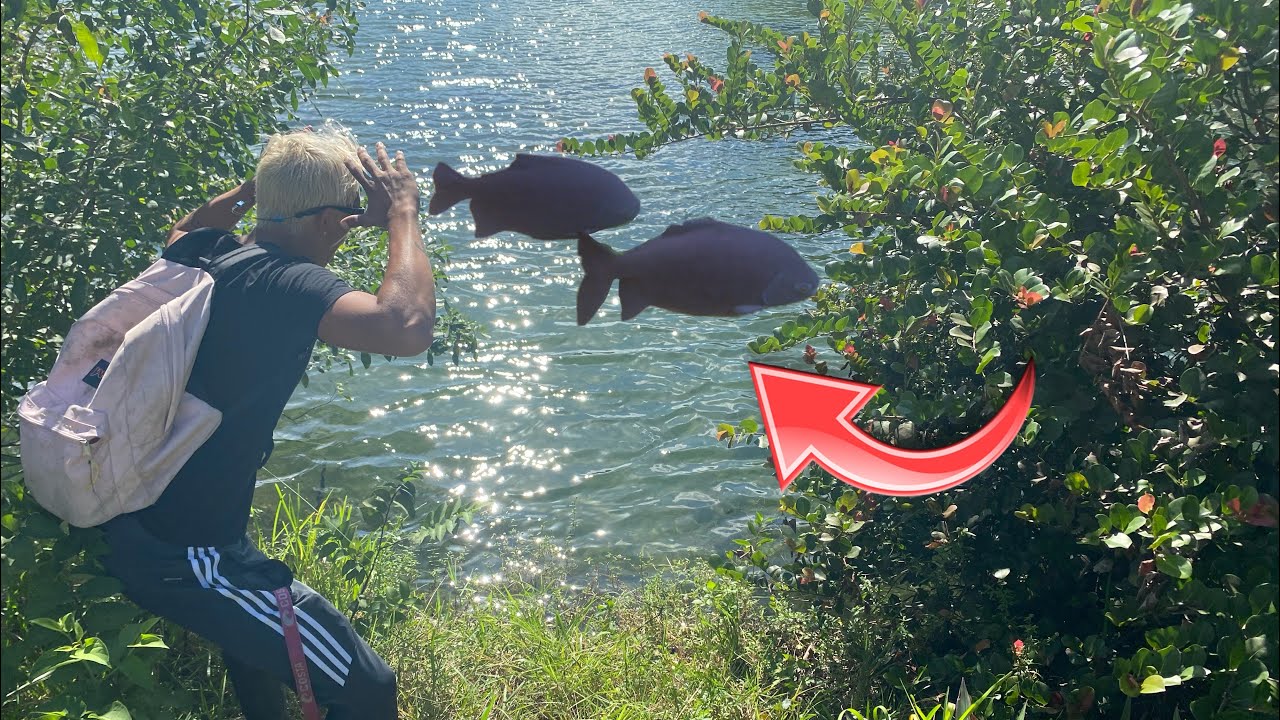 CATCHING Massive FISH From ABANDON Lagoon! - YouTube