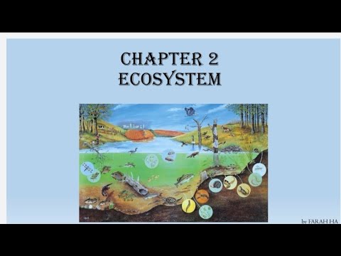 Science Form 2: Ecosystem (Part 2) - YouTube