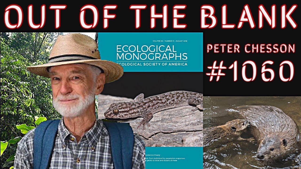 Out Of The Blank #1060 - Peter Chesson - YouTube
