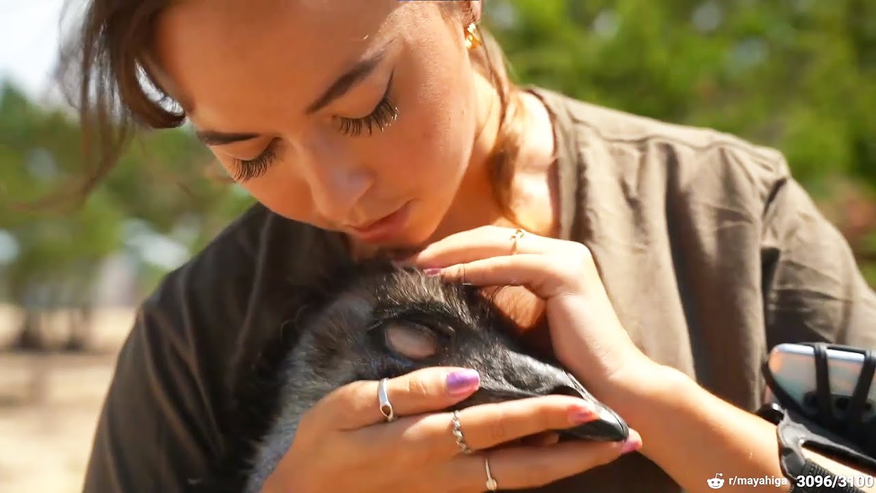 Maya explains how and why she got Stompy for Alveus - YouTube