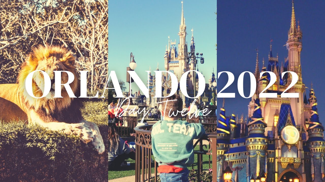 Orlando 2022 Vacation - Day 12 - Animal Kingdom and Magic Kingdom ...
