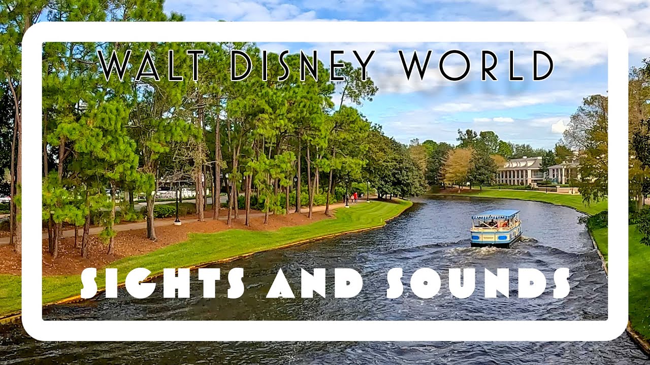Disney's Port Orleans Riverside Bridge | WDW Sights and Sounds | Disney ...