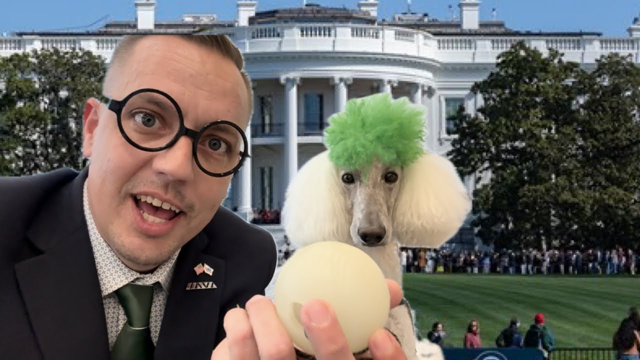 Service Dog Visits The WHITE HOUSE! Day 1 Capitol Hill Washington DC ...