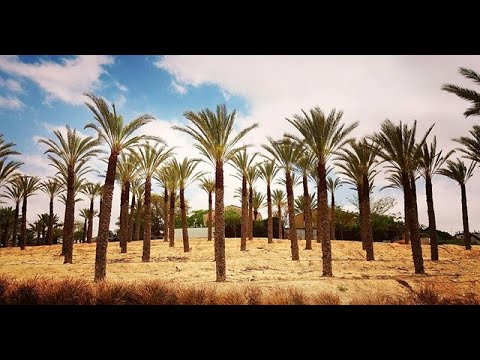 Panjgur Balochistan (Documentary Film) - YouTube