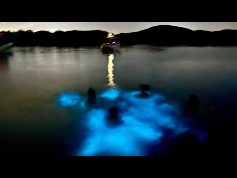 The Brightest Bioluminescent Bay in the world is in Puerto Rico!